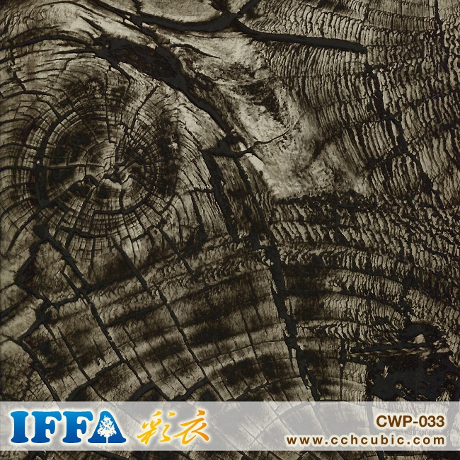 IFFA彩衣 - CWP-033